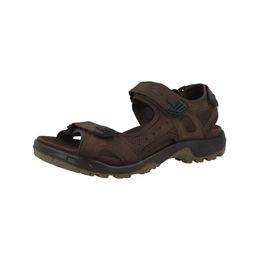 Ecco Hiking Sandals 'Offroad' male size 43 Dark brown