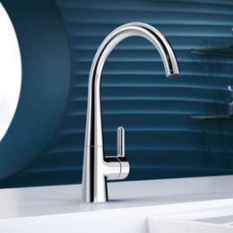 HansaDESIGNO Style Einhebel-Küchenarmatur Niederdruck