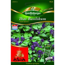 Quedlinburger Premium Thai-Basilikum 'Siam Queen'