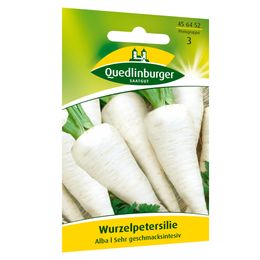 Quedlinburger Wurzelpetersilie 'Alba'