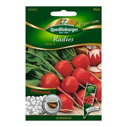 Quedlinburger Radies "Saxa 2" Pillensaat