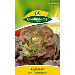 Quedlinburger Kopfsalat 'Pirat'