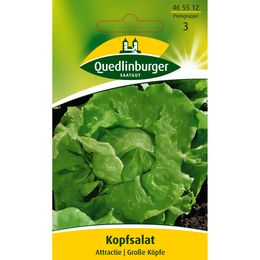 Quedlinburger Kopfsalat 'Attractie'