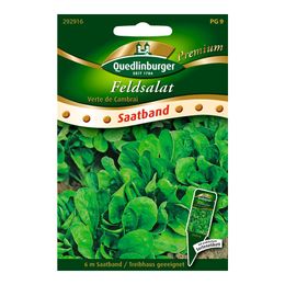 Quedlinburger Feldsalat "Verte de Cambrai" Saatband