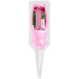 toom Orchideen-Aufbaukur 30 ml