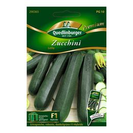 Quedlinburger Zucchini "Leila" 10 St&uuml;ck