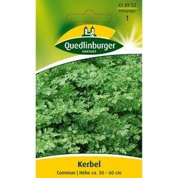 Quedlinburger Kerbel 'Commun'