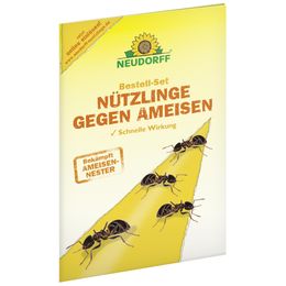 Neudorff Bestell-Set 'N&uuml;tzlinge gegen Ameisen'