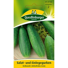 Quedlinburger Salat-/Einlegegurke 'Delikate&szlig;'