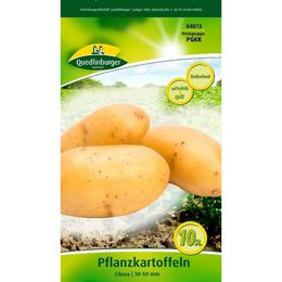Quedlinburger Pflanzkartoffel 'Cilena' gelb 10 Stück