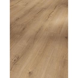PARADOR Vinylboden 'Basic 5.3' Eiche Cambridge natur Natur hellbraun 5,3 mm
