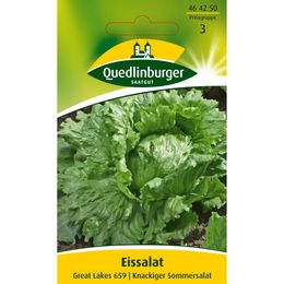 Quedlinburger Eissalat 'Great Lakes 659'