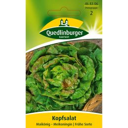 Quedlinburger Kopfsalat 'Meikoningin'