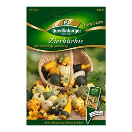 Quedlinburger Zierk&uuml;rbis "Kleinfr&uuml;chtige Mischung" 10 St&uuml;ck