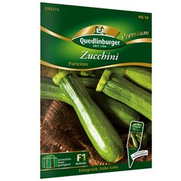 Quedlinburger Zucchini 'Partenon'