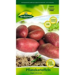 Quedlinburger Pflanzkartoffel 'Birgit' rosa 10 Stück