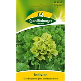Quedlinburger Endivie 'Escariol gr&uuml;ner'