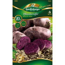 Quedlinburger Pflanzkartoffel 'Blaue St. Galler' lila 10 Stück