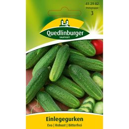 Quedlinburger Einlegegurke 'Eva'