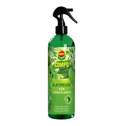 Compo Blattpflege für Grünpflanzen 500 ml