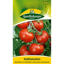 Quedlinburger Stabtomate 'Harzfeuer'