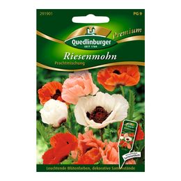 Quedlinburger Riesenmohn T&uuml;rkischer Mohn "Prachtmischung"