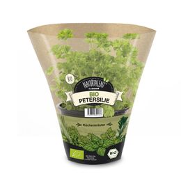 naturtalent by toom Naturtalent by toom Bio-Petersilie glatt, 12 cm Topf