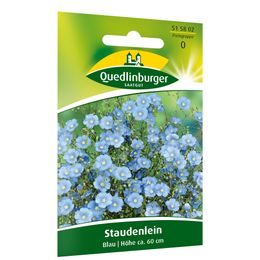 Quedlinburger Staudenlein blau