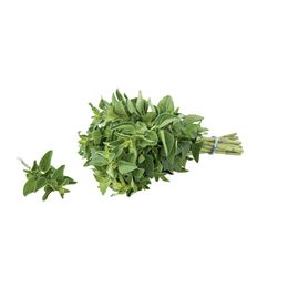 naturtalent by toom Naturtalent by toom Bio-Oregano, 12 cm Topf