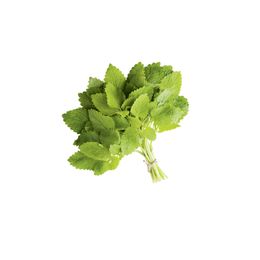 naturtalent by toom Naturtalent by toom Bio-Zitronenmelisse, 12 cm Topf