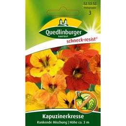 Quedlinburger Kapuzinerkresse Rankende Mischung