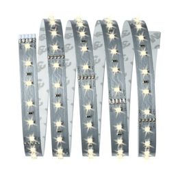 Paulmann Function MaxLED 500 Basisset 1,5 m warmweiß 10 W 230/24 V 20 VA Silber
