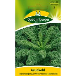 Quedlinburger Gr&uuml;nkohl 'Lerchenzungen'