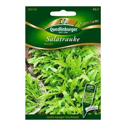 Quedlinburger Salatrauke "Rucola"
