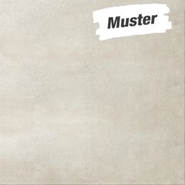 Muster zu Bodenfliese 'Urbino' Feinsteinzeug grau 60,8 x 60,8 cm