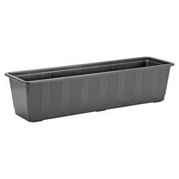 Geli Blumenkasten "Standard" 60 cm anthrazit
