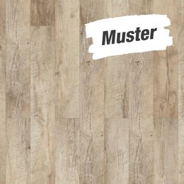 PARADOR Muster zum Laminat 'Extravagant Tradition' Eiche Hartford Beige 8 mm