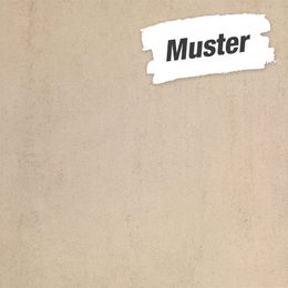 Muster zu Bodenfliese 'Evolution' Feinsteinzeug beige 61 x 61 cm