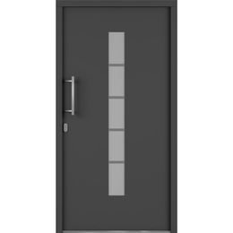 Roro Alu-Kunststoffhaust&uuml;r 'Calg' 1100 x 2100 mm DIN L