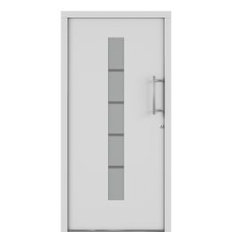 Roro Alu-Kunststoffhaust&uuml;r 'Calg' 1000 x 2000 mm DIN R
