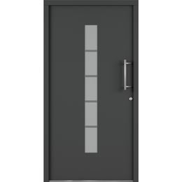 Roro Alu-Kunststoffhaust&uuml;r 'Calg' 1100 x 2100 mm DIN R