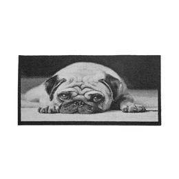 toom Sauberlaufmatte 'Mops' 58 x 39 cm