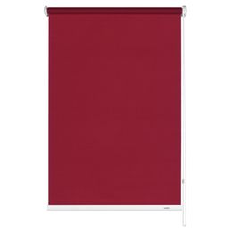 Gardinia Seitenzug-Rollo 'Abdunklung' bordeaux 92 x 180 cm