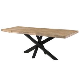 Baumtisch Mango 220x100x79 beige lackiert / Mikado-Beine anthrazit matt FREEFORM 5