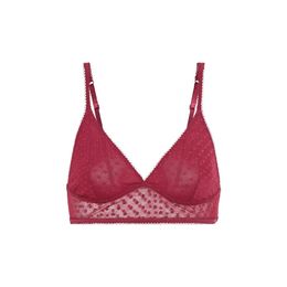 Lscn By Lascana Bra female Purple size 48/50
