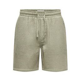 Only & Sons Only & Sons Shorts 'Tel Savier' Herren Größe 33 pastellgrün