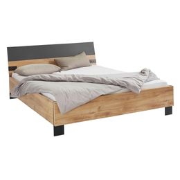 Futonbett wimex "Malm&ouml;, Bett Made in Germany", grau (plankeneichefarben, graphit), B:168cm H:94cm L:210cm, Betten, Futonbett, im beliebten Industrial look, 3 Breiten zur Auswahl