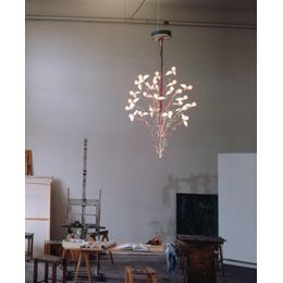 Ingo Maurer Birds, Birds, Birds 190cm Kabel Rot/Blau