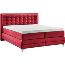 Boxspringbett Musterring, B:177cm L:214cm, rot, Komplettbetten, "Dubai", Winkelfuß in Chrom, 3 Härtegrade, Kopfteil in Kassettensteppung