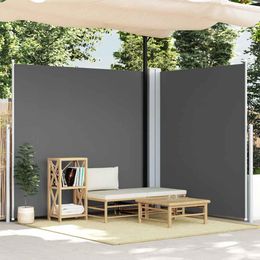 vidaXL Seitenmarkise Ausziehbar Anthrazit 200x600 cm
